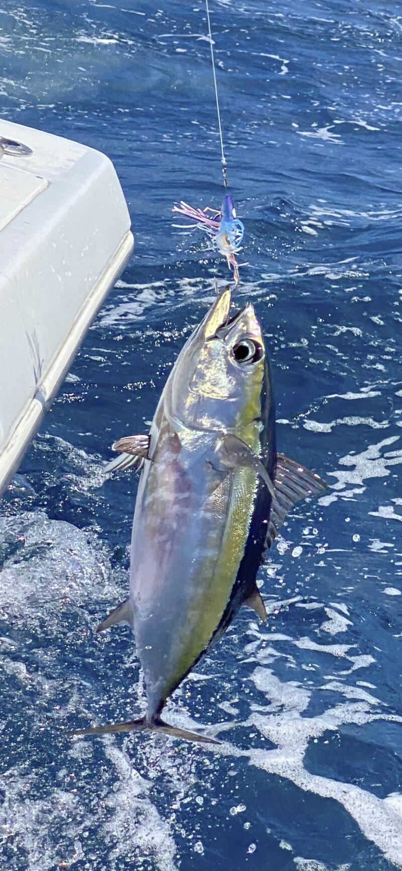 Fishing Charters - Shine Eye Girl Charters
